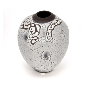 Beautiful Vessel Vase Studio Pottery By Renowned Artist Shane Norrie ...